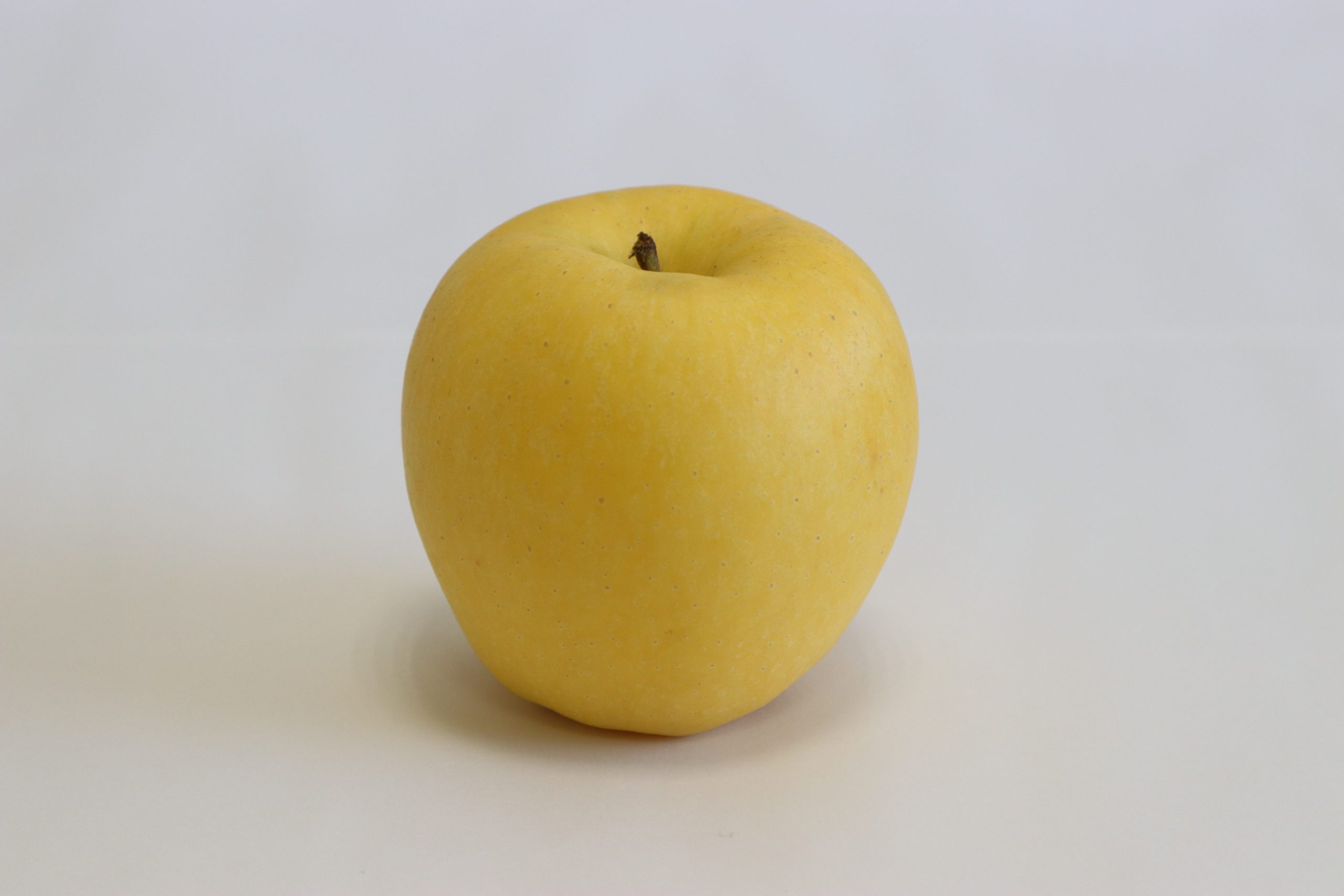 Haruka Apple - Valuablelink Consulting Inc.