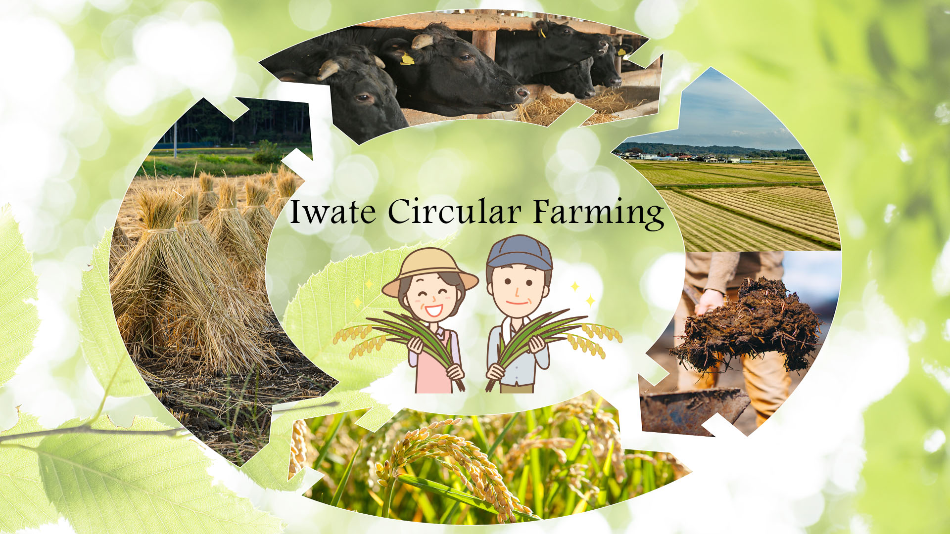 Iwate’s Sustainable Farming Cycle - Valuablelink Consulting Inc.