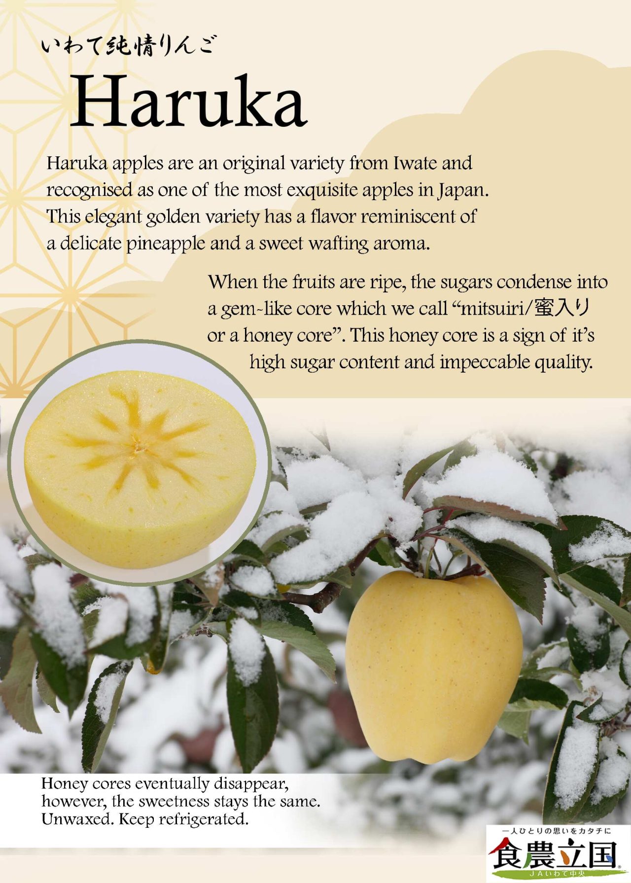 Haruka Apple - Valuablelink Consulting Inc.